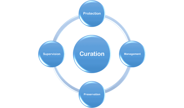 What is an art curator - the 7 important tasks for success