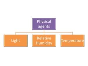 LESSON 4.1 - Physical agents - Citaliarestauro