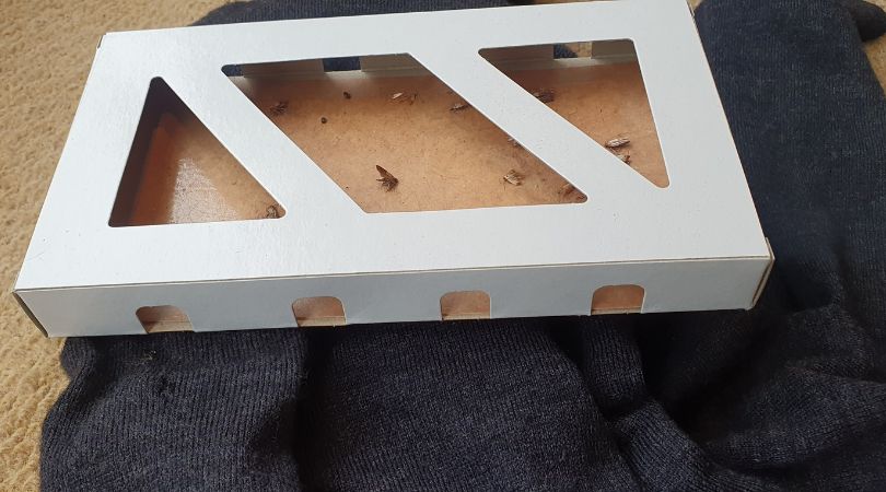 What is restoration and conservation ? - Citaliarestauro